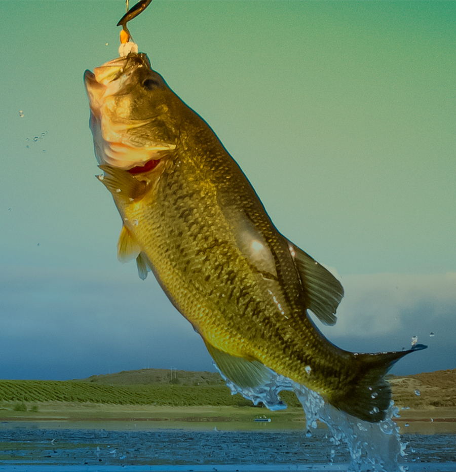 Freshwater Fishing - Visit Okeechobee