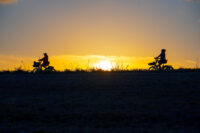 Things to Do - Visit Okeechobee